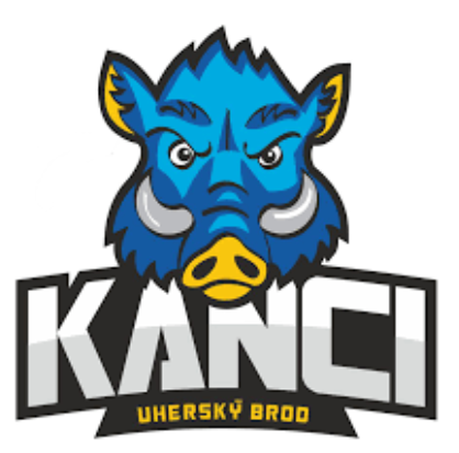 czechicehockey.tv